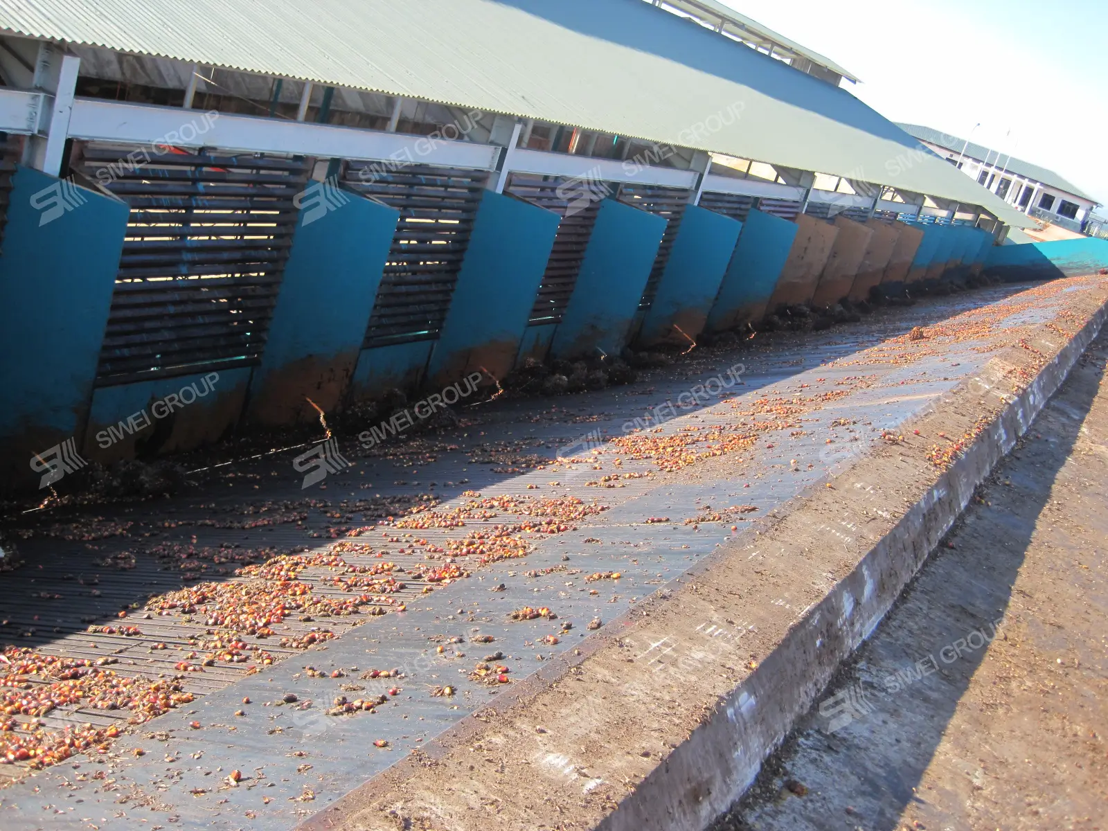Palm oil production line - Zhengzhou Siwei Grain & Oil Engineering And ...