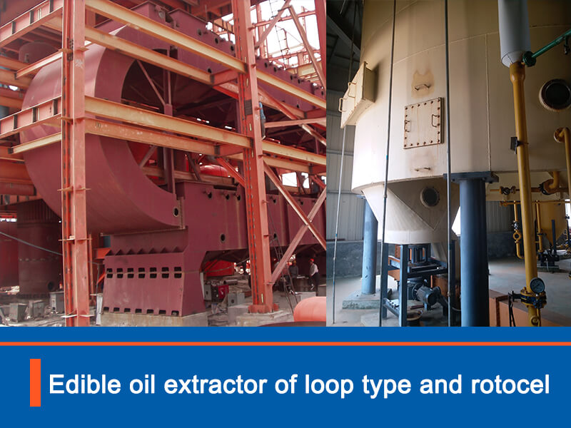 What are the edible oil extractor different of loop type and rotocel ...